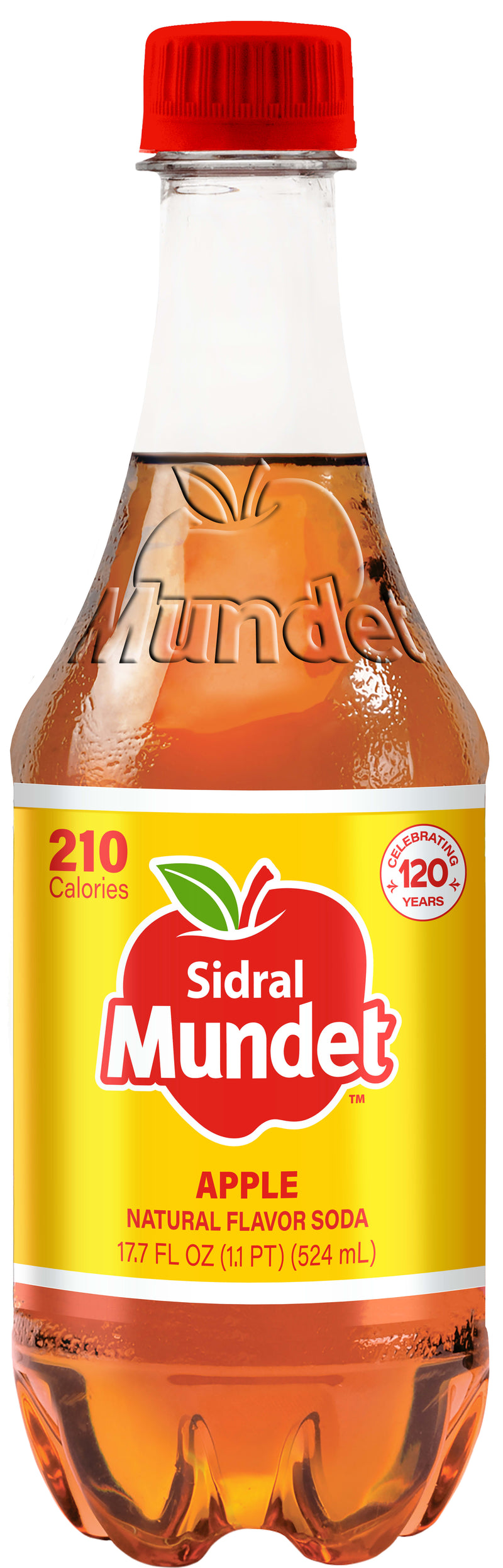 Sidral Mundet 24 Pack (524 ml Bottles) – The Booze Outlet